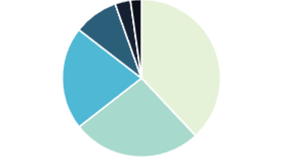 Rentang Umur Pengguna Facebook di Indonesia - GoodStats Data